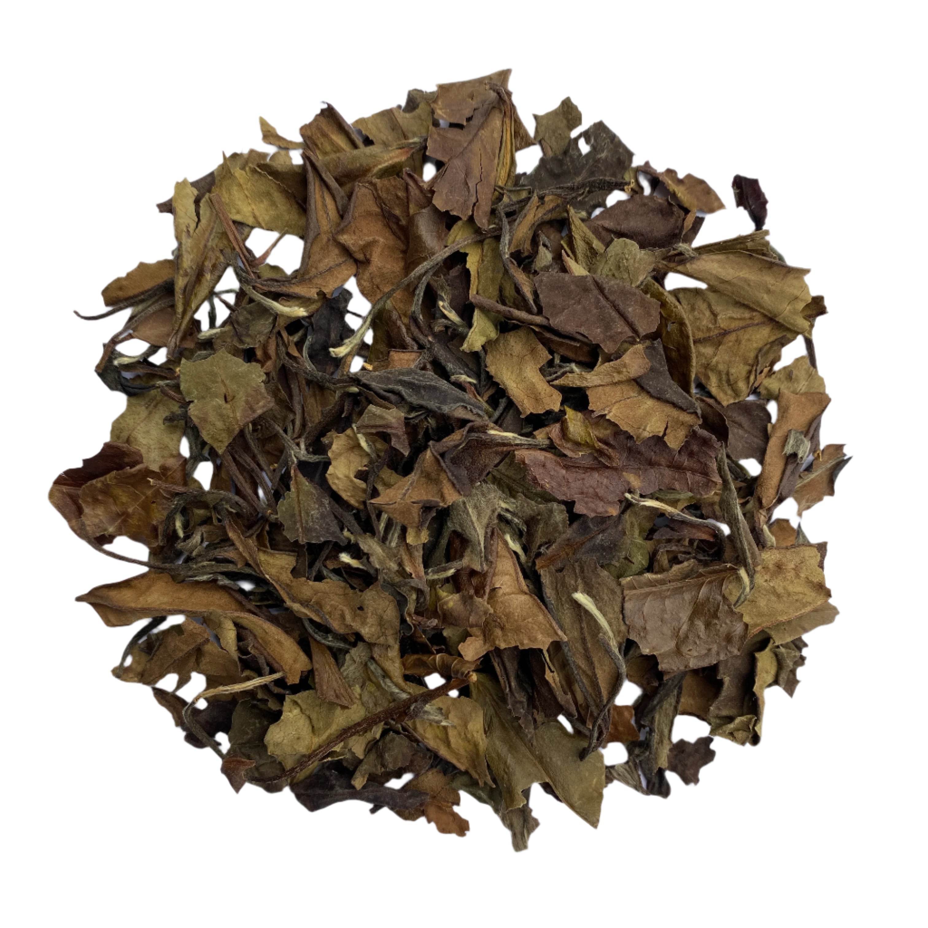 White Tea (Bai Cha) – MyTeaPal Store